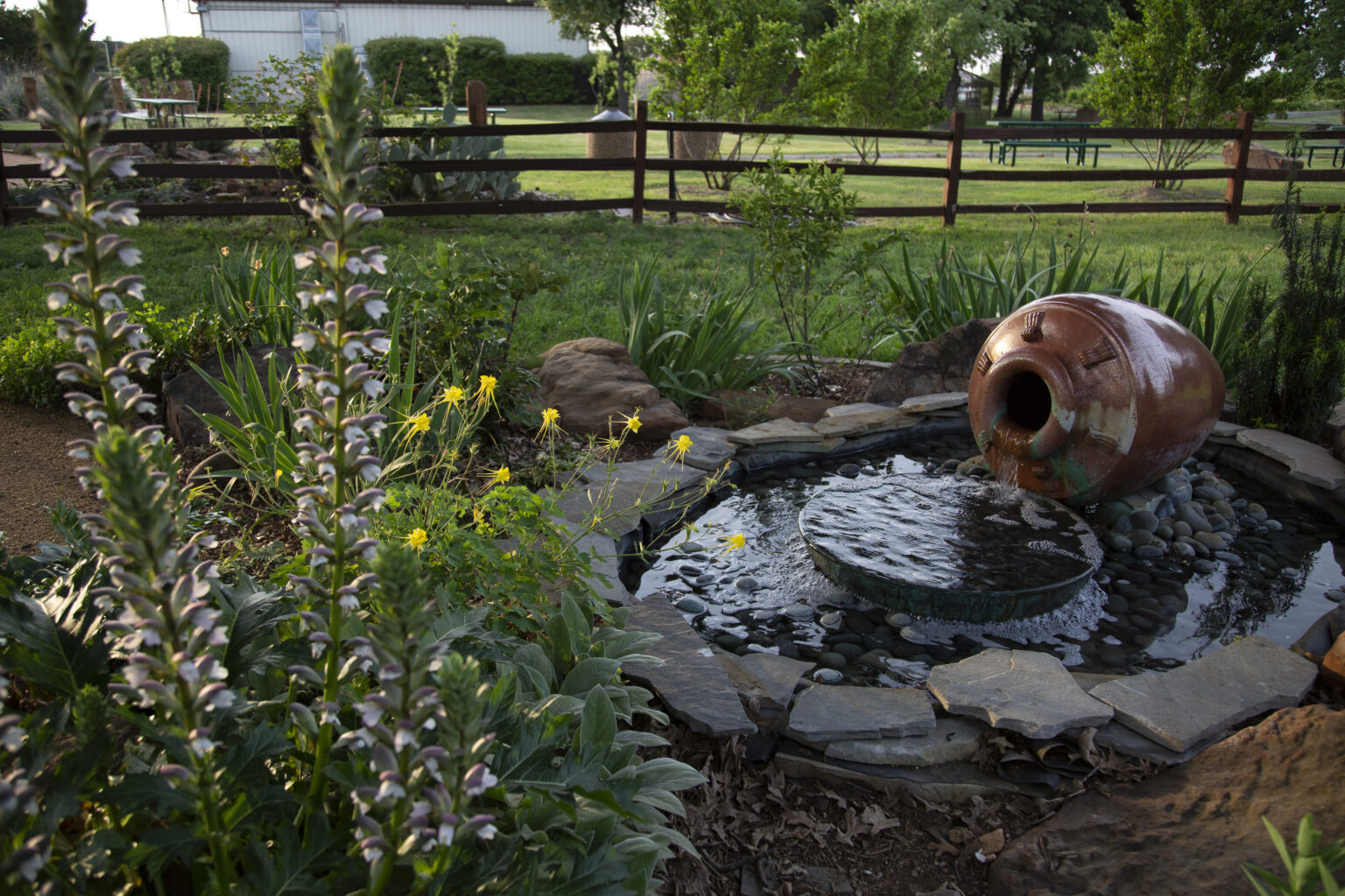 The Tribe of Asher – Israel Prayer Garden