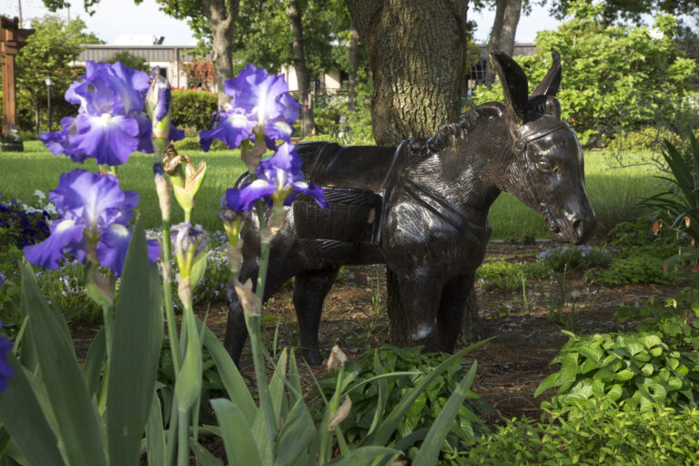 The Tribe of Issachar – Israel Prayer Garden