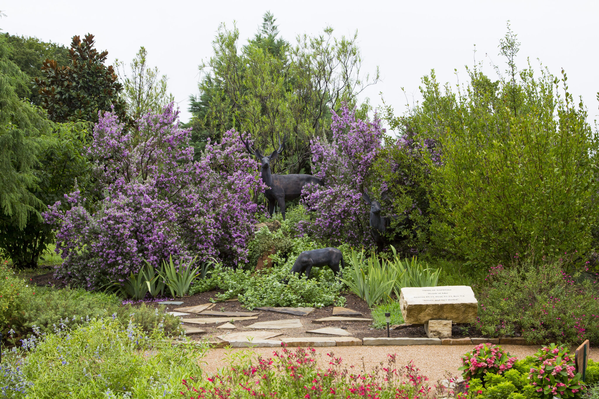 The Tribe of Naphtali – Israel Prayer Garden